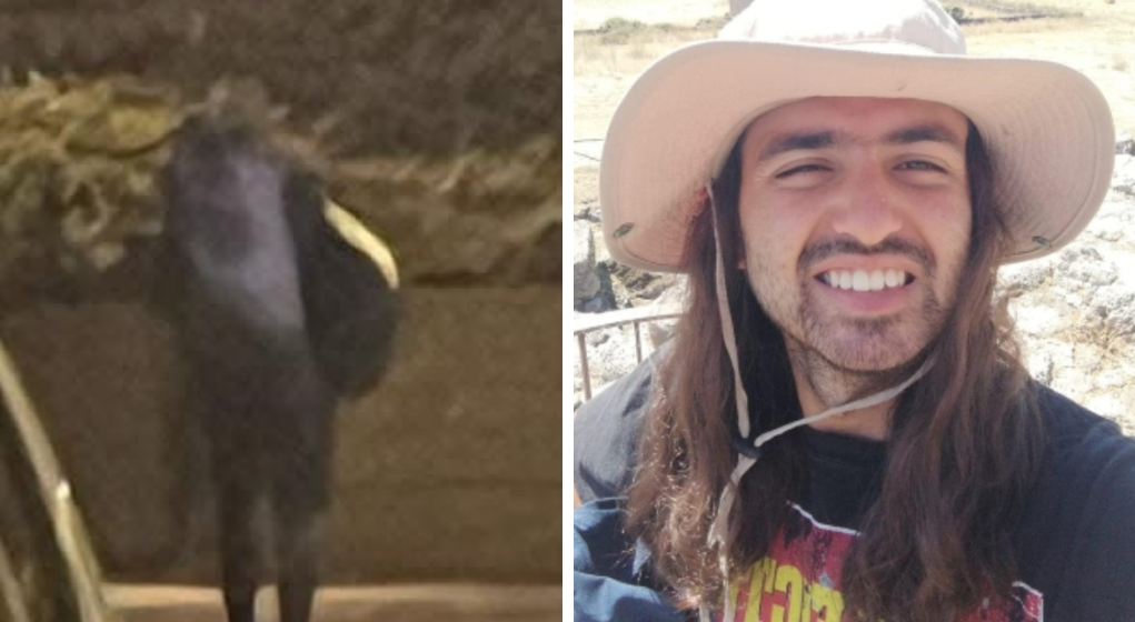 Un giovane avvistato ad Aglientu: è lo scomparso Michael Frison ...