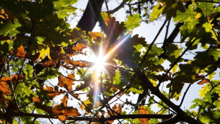 Meteo Sardegna, oggi temperature sui 25°: nei prossimi giorni torna la ...