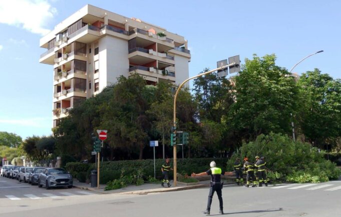 Cagliari, paura in via Castiglione: cade un grosso albero - Cagliaripad ...
